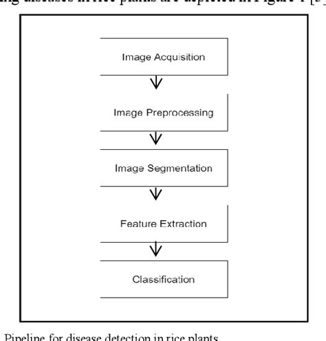 Figure 1 From Deep Learning Based Rice Leaf Disease Diagnosis Using