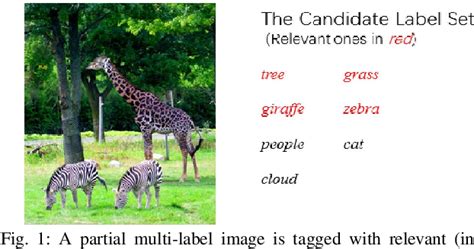 Figure 1 From Partial Multi Label Learning Using Label Compression