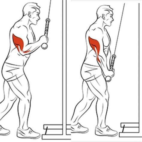 Tricep Pulldown