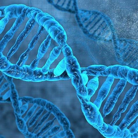 Wellcome Connecting Science Genomics Of Rare Disease Genetics Society