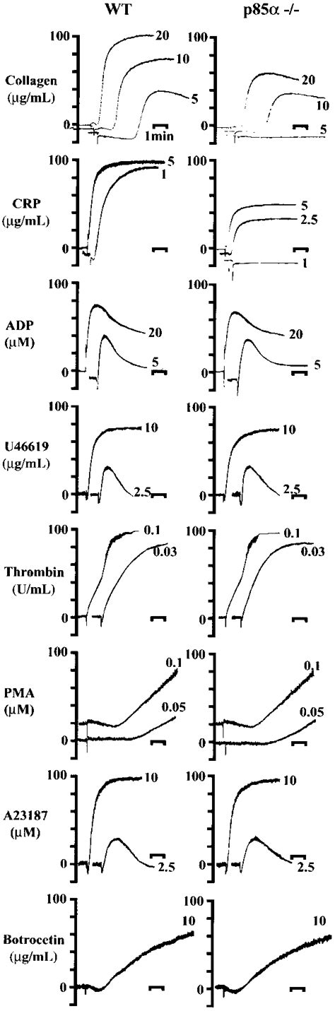 Platelet Aggregation Responses To Various Kinds Of Agonists Prps 3 10