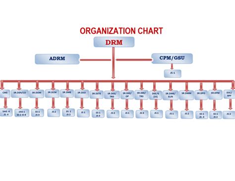 1705468377476 Organisation Chart Pdf