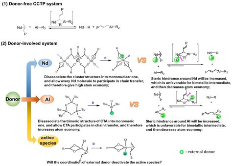 Molecules Free Full Text Neodymium Mediated Coordinative Chain Transfer Polymerization Of