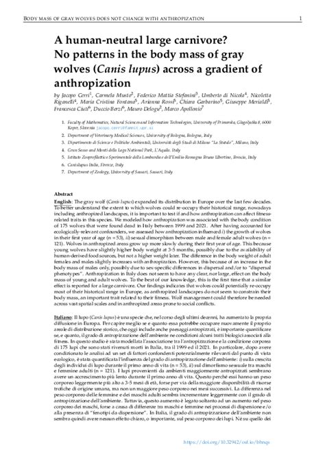 Pdf A Human Neutral Large Carnivore No Patterns In The Body Mass Of