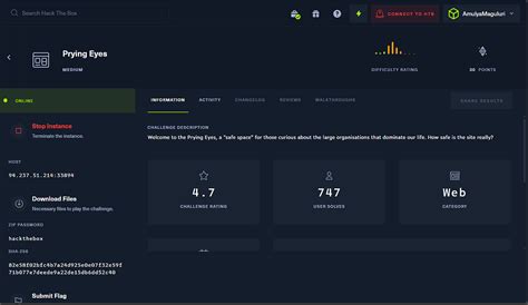 Hackthebox Web Challenge Prying Eyes Walkthrough By Amulya Maguluri