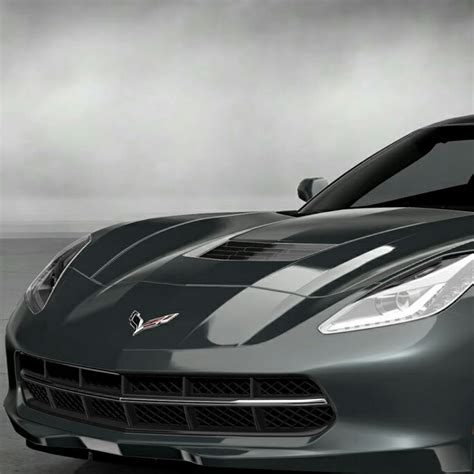 Daniel Simons Youtube