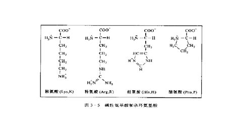 20种氨基酸化学结构式 Word文档在线阅读与下载 无忧文档