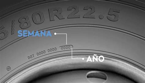 ¿los Cauchos Se Vencen ¿qué Pasa Con La Edad De Los Neumáticos Aclara