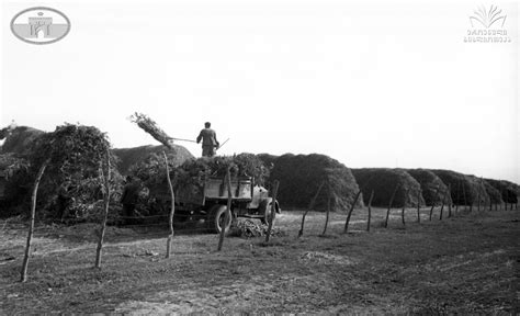 Iverieli ფოტო ალექსანდრე რამაზაშვილის პირადი არქივიდან