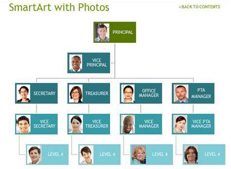 create custom professional org chart organogram by anjum aanan fiverr