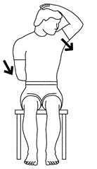 Neck Stretches Levator Scapula Stretch More Core Solutions