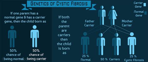 Enhancing Life With Cystic Fibrosis Genetic Disease Kanimozhi
