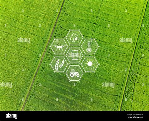 Smart Agriculture With Modern Technology For Sustainable Practices Rice Farm Smart Farming