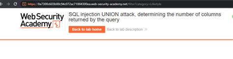 SQL injection vulnerabilities Lỗ hổng SQL injection Phần