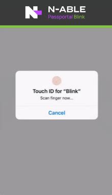 Blink End User Reset Guide