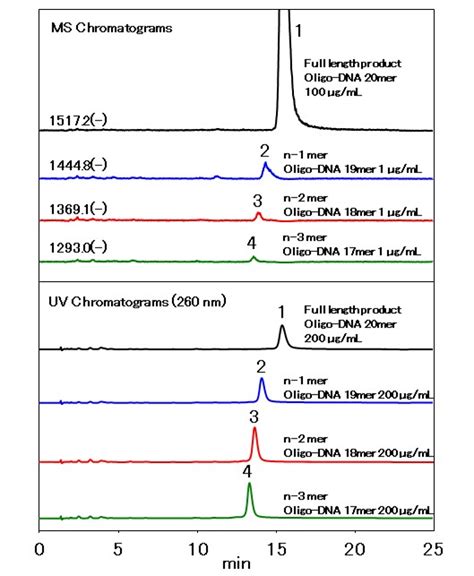 Analysis Of Oligonucleotides And Their Impurities 1 Truncated