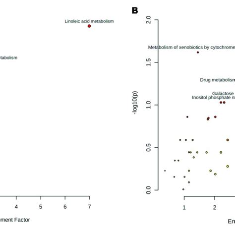 The Metabolome View Map Of Significant Metabolic Pathways Identified
