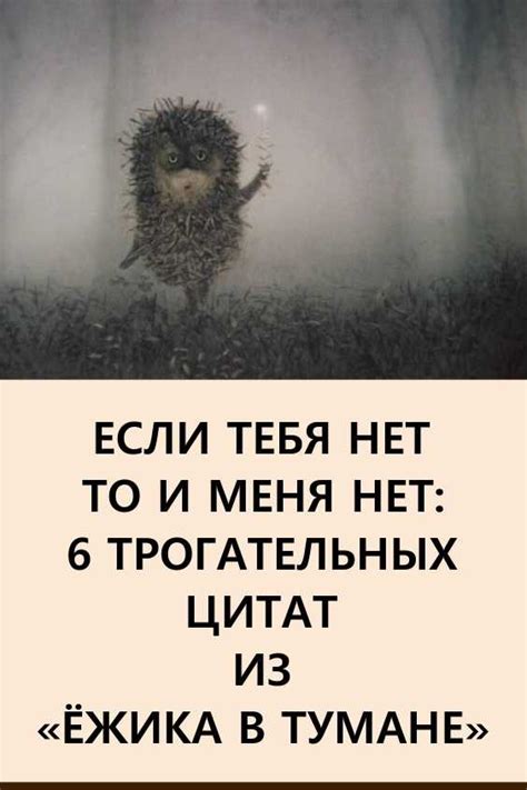 «Если тебя нет то и меня нет 6 трогательных цитат из «Ёжика в тумане