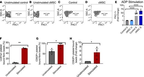 Cd62p P Selectin Antibody Pe 12 0626 82