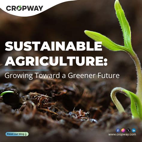 Sustainable Agriculture Growing Toward A Greener Future Cropway 2025