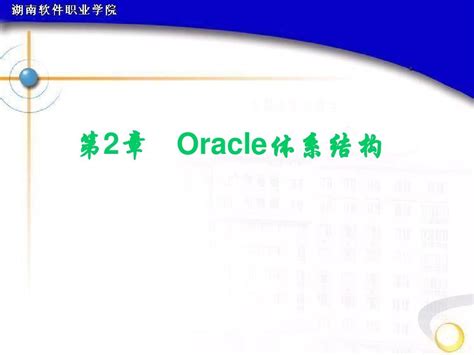 第2章 Oracle体系结构word文档在线阅读与下载无忧文档