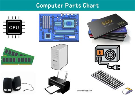 What Is Computer Hardware And Software With 5 Examples
