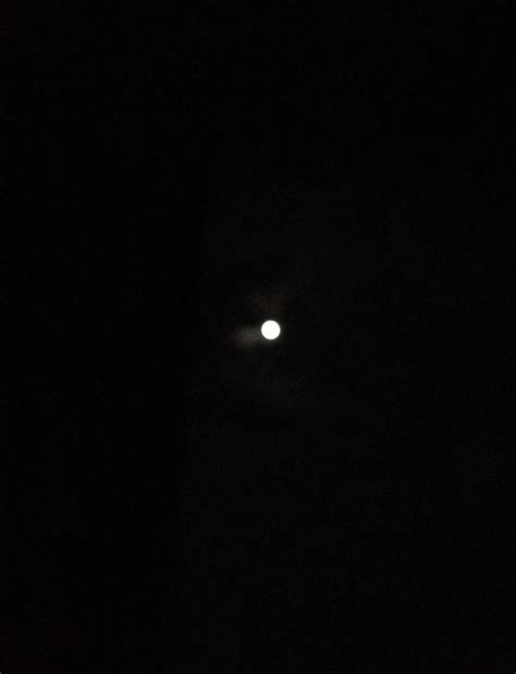 令和4年9月10日② Pan 52のブログ