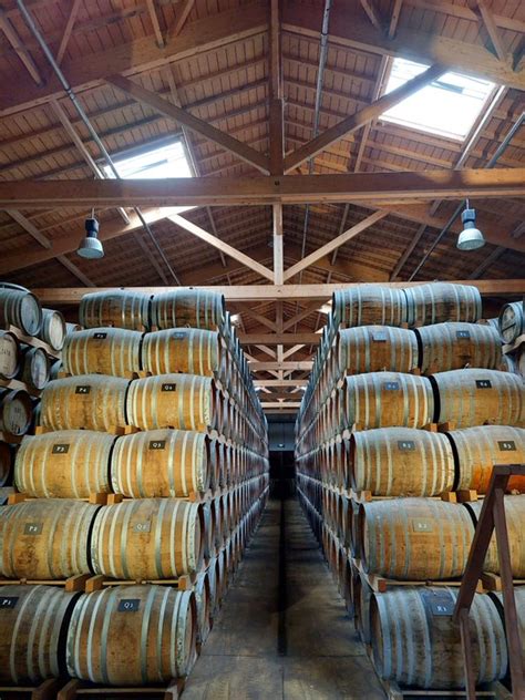 Projet Bardinet La Boutique De Leclaireur