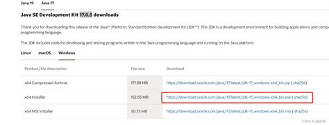 Windows同时安装两个版本jdk，并实现动态切换版本jdk8和java17教程jdk8和jdk17可以一起安装嘛 Csdn博客