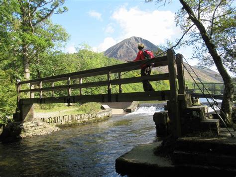 River Cocker Co Curate