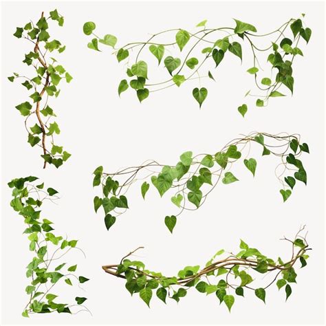 Plant Vine Design Element Set Premium Ai Generated Image