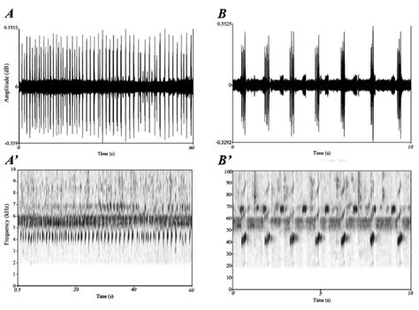 a waveform and a spectrogram of a 60 seconds sequence of the trill