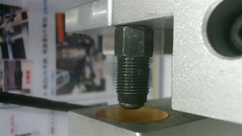 Black Nuts Object Detection Dataset By Fan