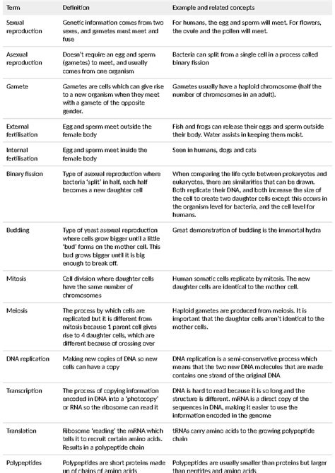 Biology Terminology Term Definition Example And Related Concepts