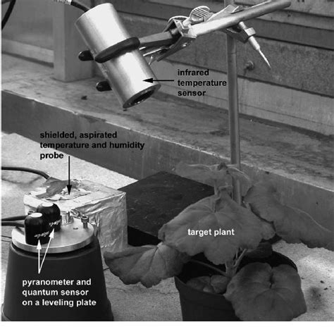 PDF A Review On Leaf Temperature Sensor Measurement Methods And Application