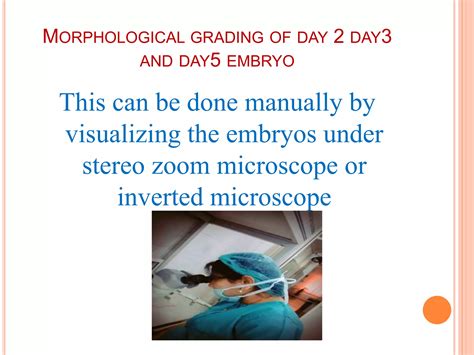 Embryo Grading PPTX Pregnancy Reproductive Health