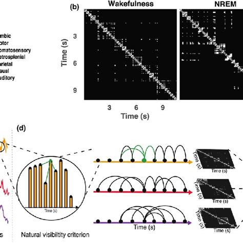 The Proposed Hybrid Framework Using Mvg And 2d Cnn To Automatically