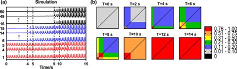 A Simulation For 50 Fully Connected Neuronal Populations Consisting Of