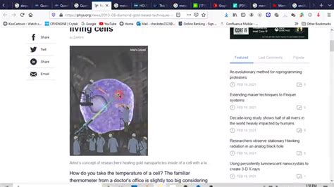 How You Could Become A Victim Of A Quantum Neural Network Targeted