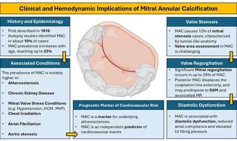 Clinical And Hemodynamic Implications Of Mitral Annular Calcification