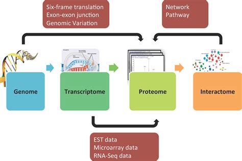 Integrating Genomic Transcriptomic And Interactome Data To Improve Peptide And Protein