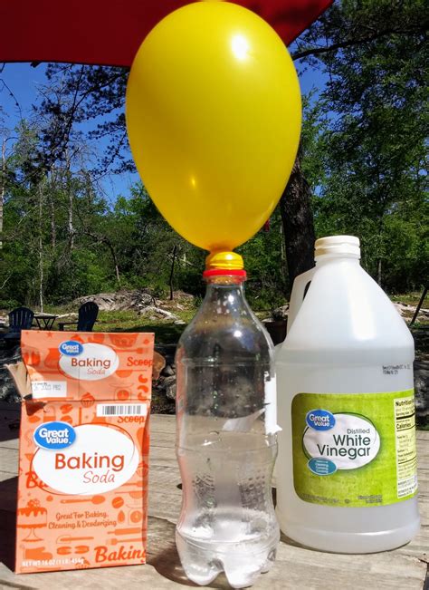 Simple Science Experiments For Kindergarteners