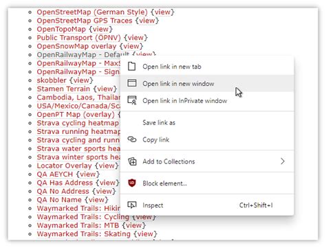 example connect to a custom openrailwaymap server