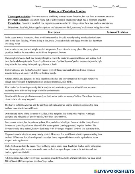 patterns of evolution and selection worksheet for 9th 12th grade
