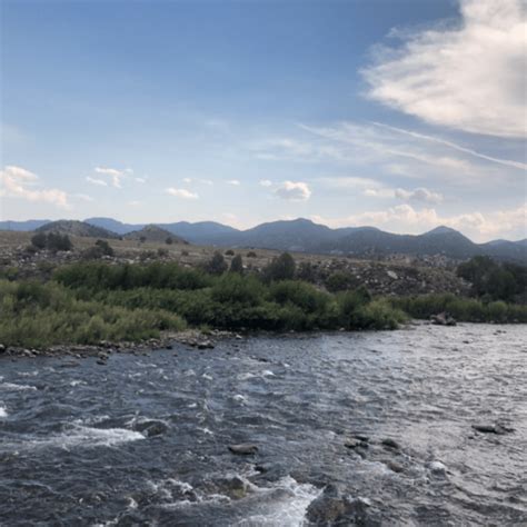 Dylan Droll Matrix Lyrics Genius Lyrics