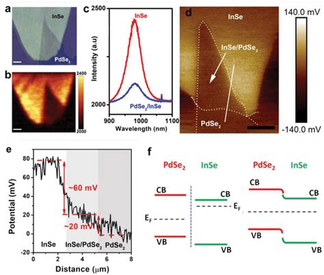 A Optical Image And B Pl Mapping Image Of The Inse Pdse2 Download Scientific Diagram