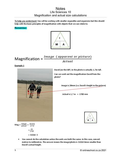 Magnification Notes Pdf