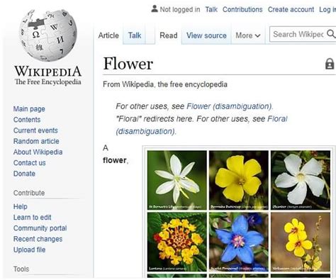 Jquery Click Href How Click Href Works In Jquery With Examples