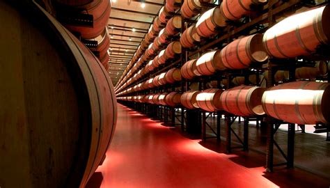 Tour de vino en el río Duero - Porto & Douro Tours Inside Tours