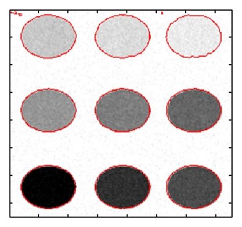 Segmentation Results On Synthetic Images With And Without Noise A